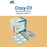 Medrock Biotech – Best Pharma Company in India